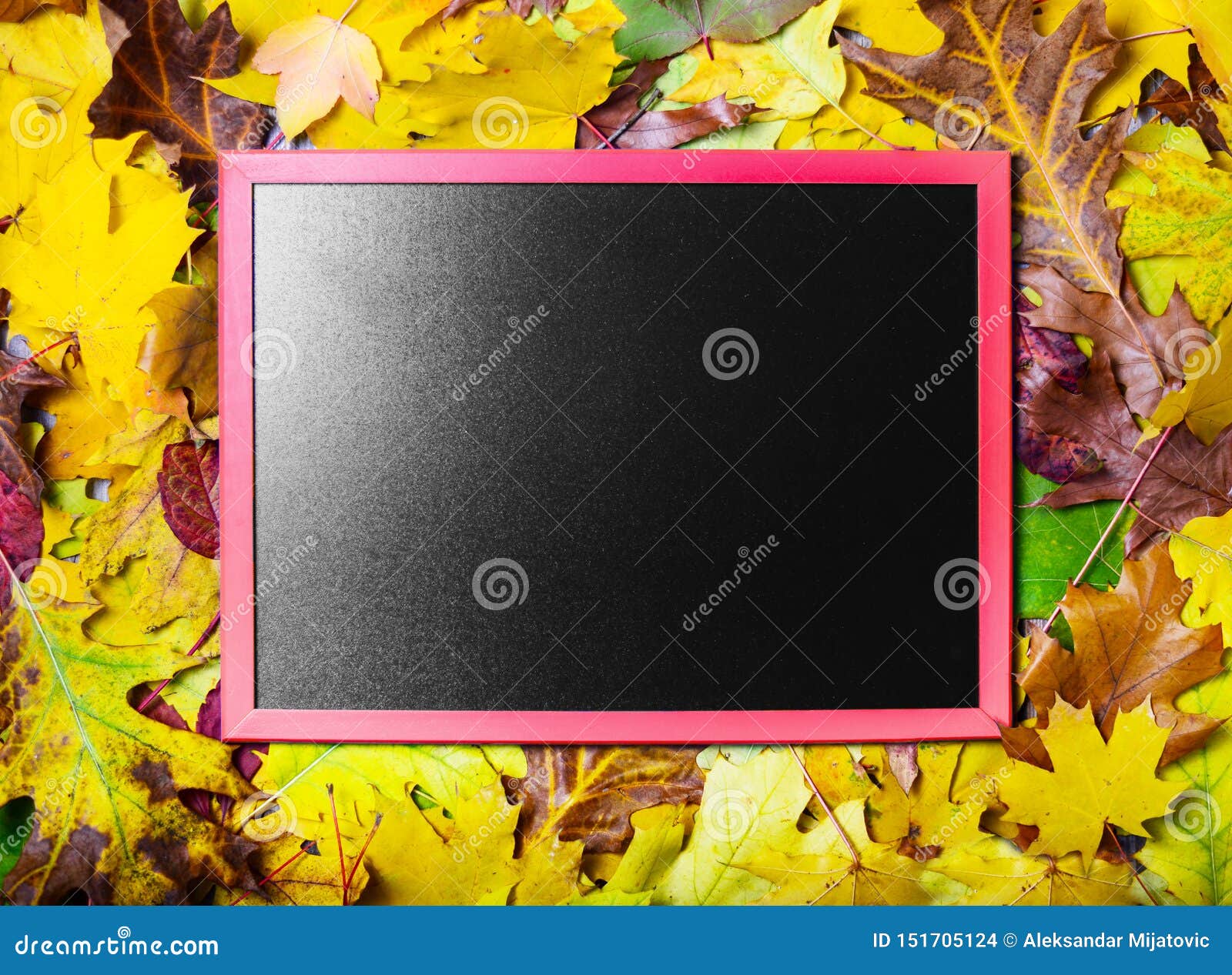Chalkboard on Fall Autumn Leaves Background Stock Photo - Image of ...