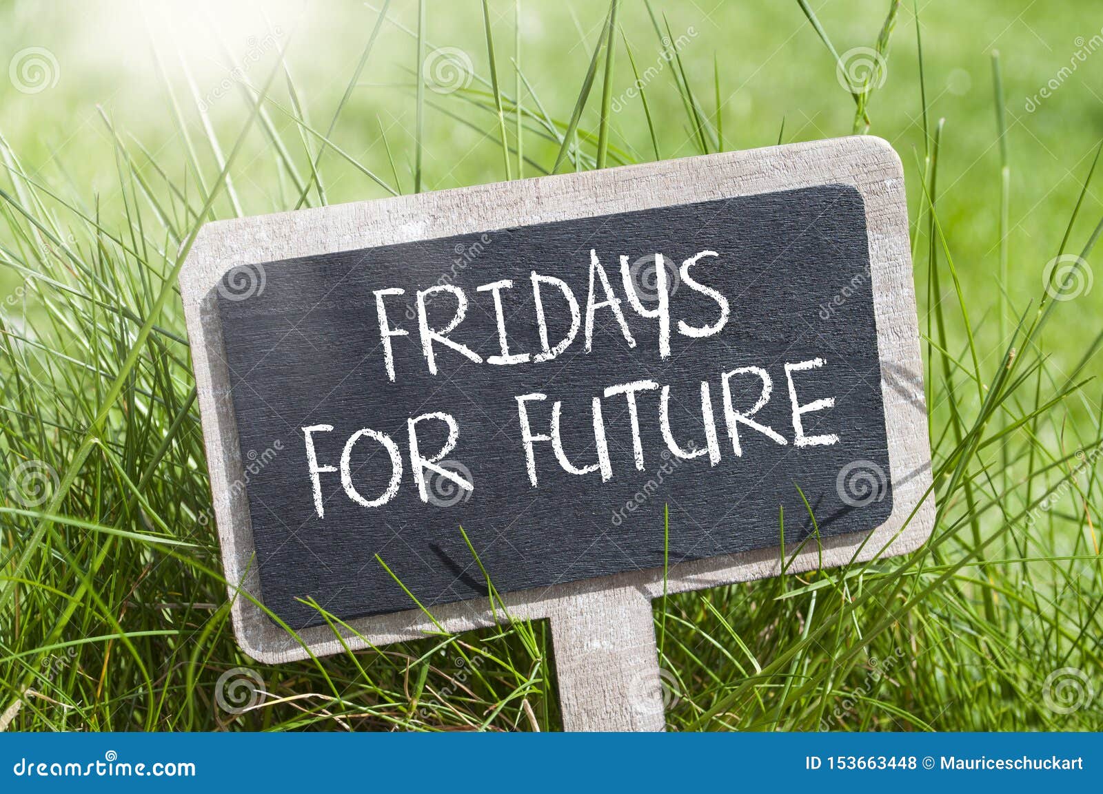 Chalkboard with Fridays for Future Stock Photo - Image of danger, greta ...