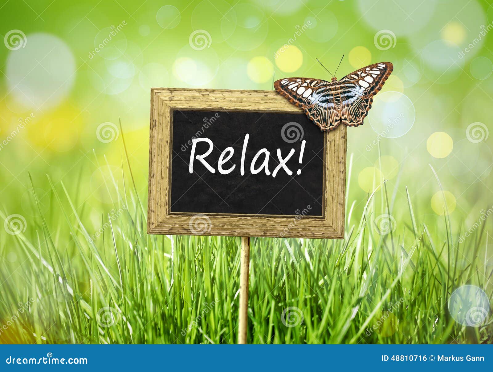 Chalkboard in the garden stock illustration. Illustration of relax ...