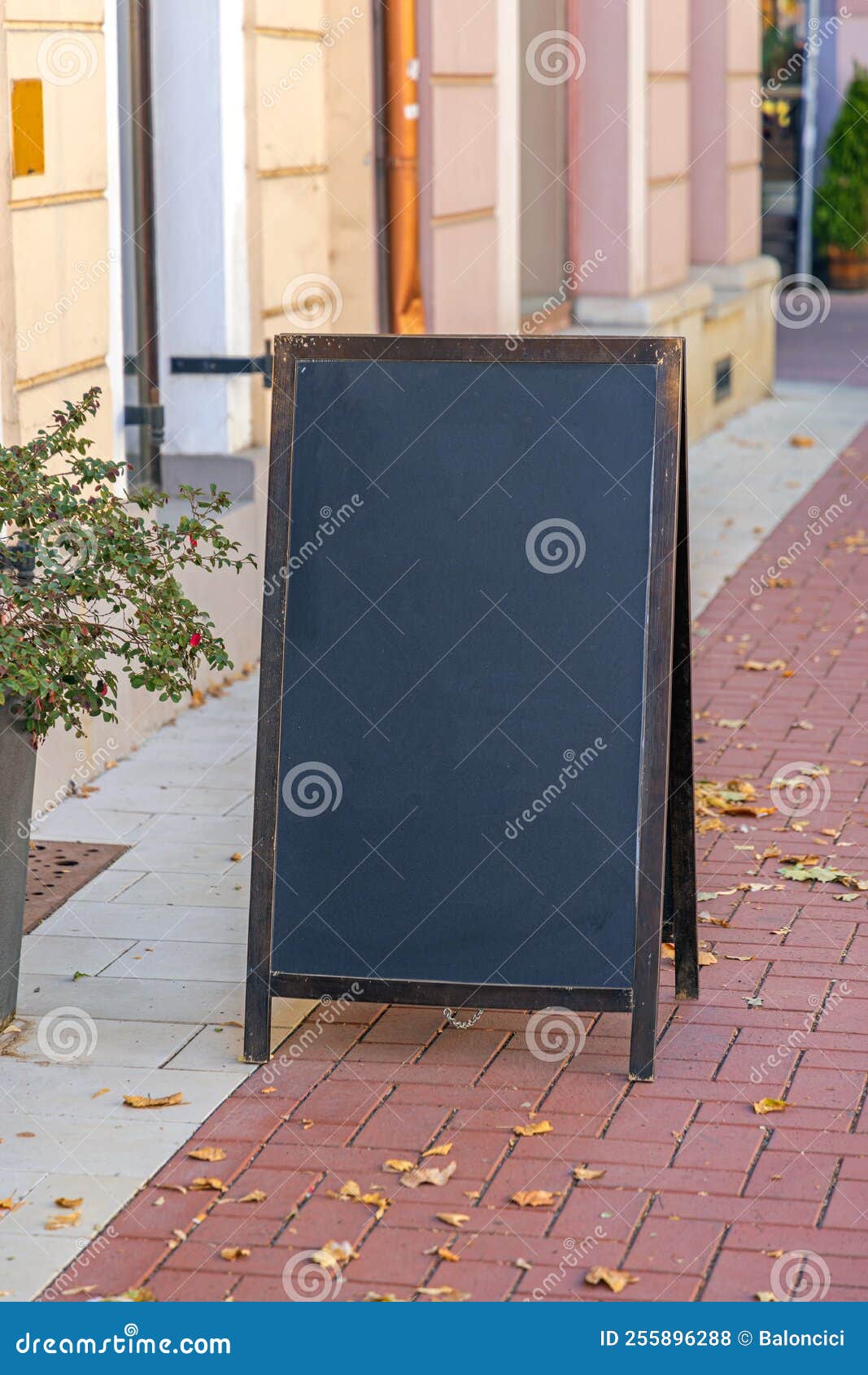 Chalkboard Street Sign stock photo. Image of sign, chalk - 255896288