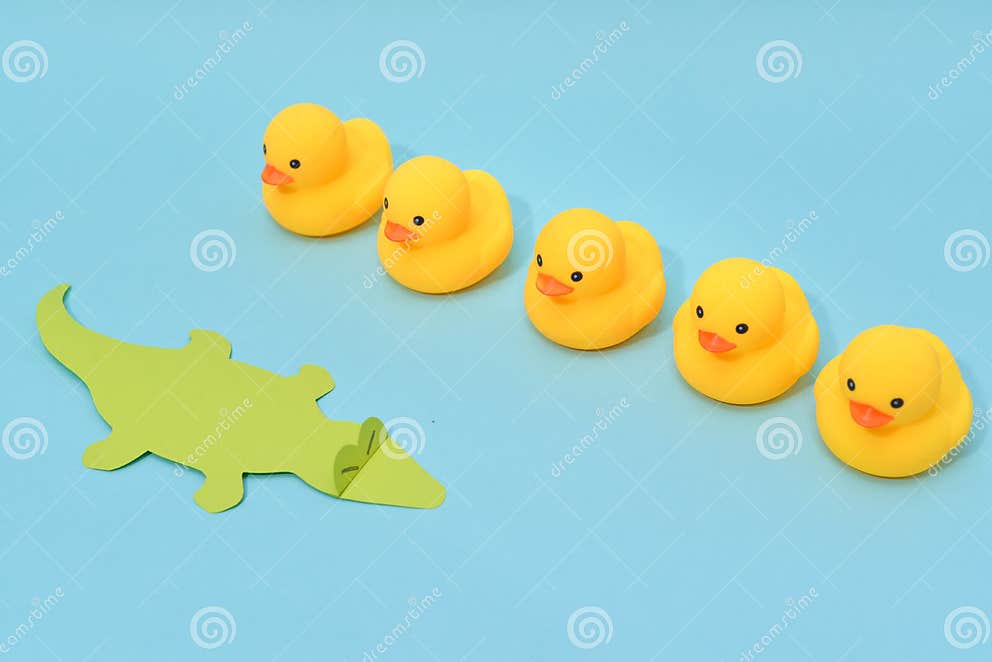 Challenge Concept, Rubber Ducks are Facing Crocodile. Stock Image ...
