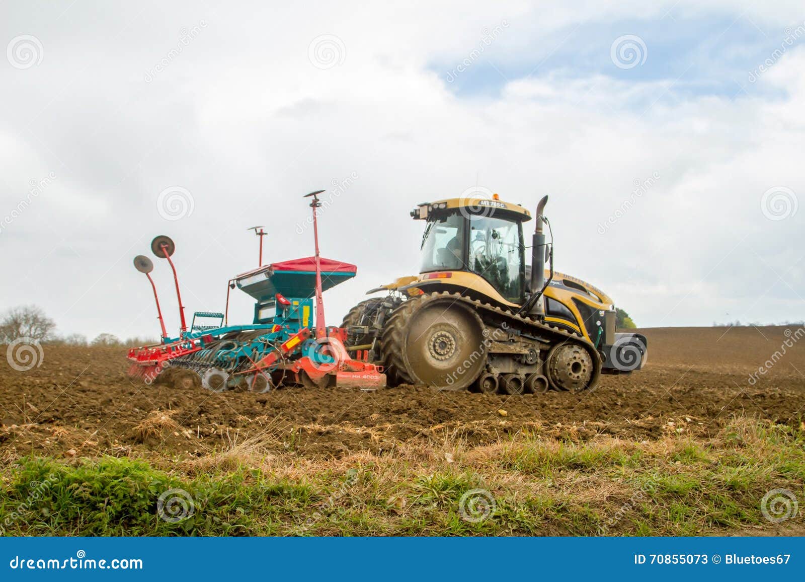 Challenger MT765C Tracked Tractor Drilling Seed in Field Editorial ...