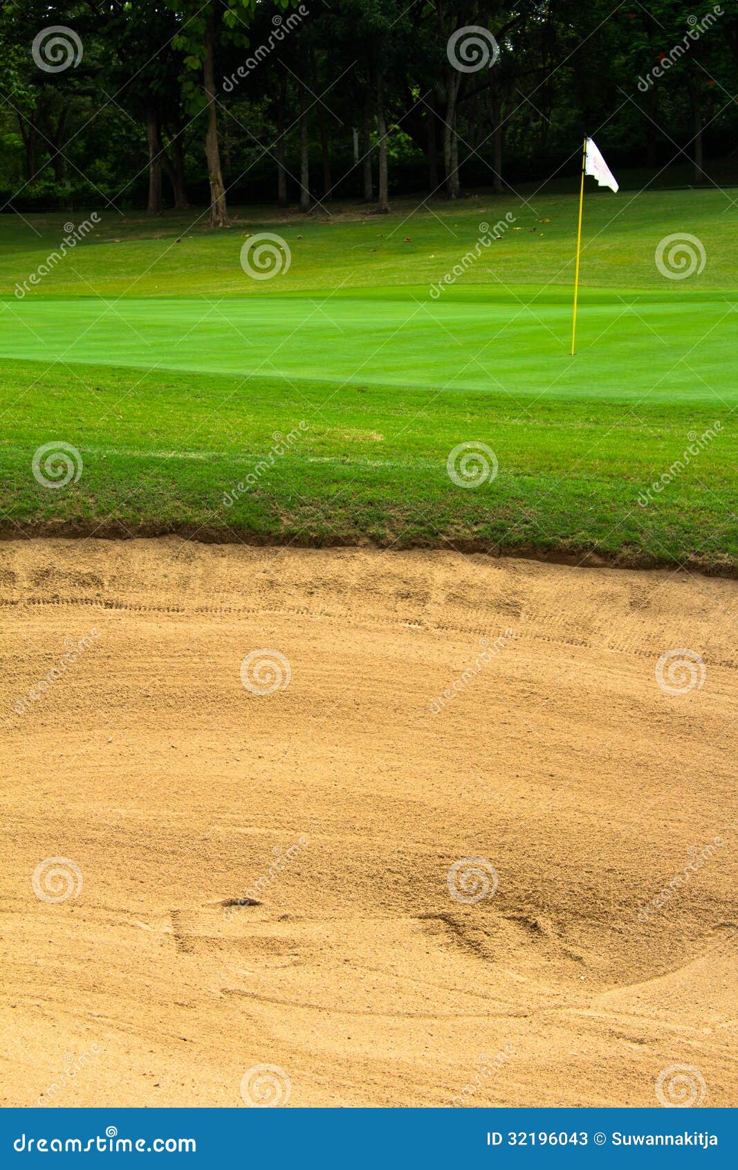 Challenging Shot of Golf Course Stock Image - Image of golfing, outdoor ...