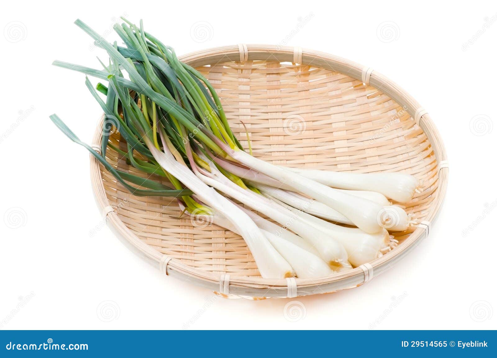 Chalote imagen de archivo. Imagen de chalote, fresco - 29514565