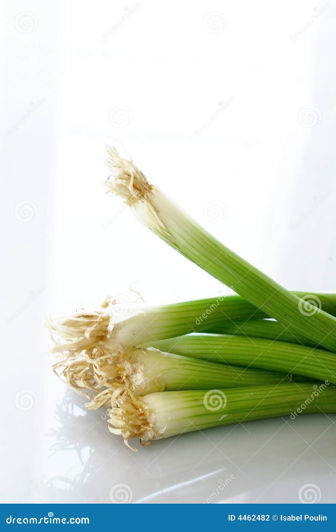 Chalote foto de archivo. Imagen de producto, comestibles - 4462482