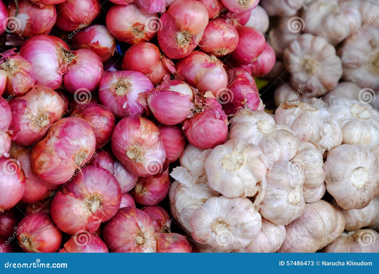 Chalote y ajo imagen de archivo. Imagen de cocinero, chalote - 57486473