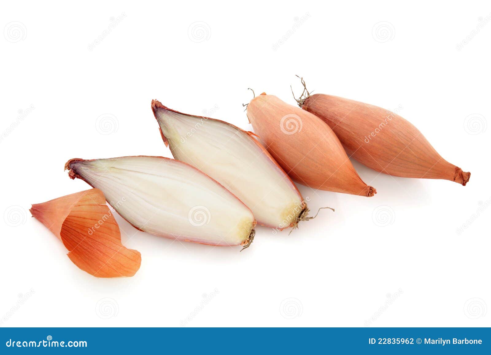 Chalotes foto de archivo. Imagen de chalotes, bulbo, cebolla - 22835962