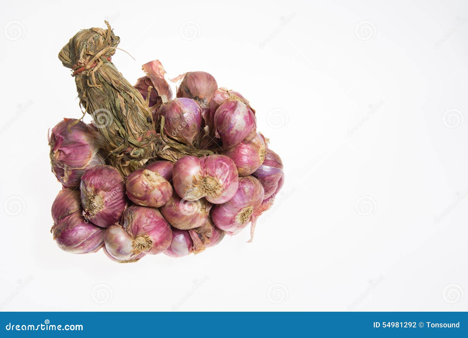 Chalotes foto de archivo. Imagen de ingrediente, crudo - 54981292