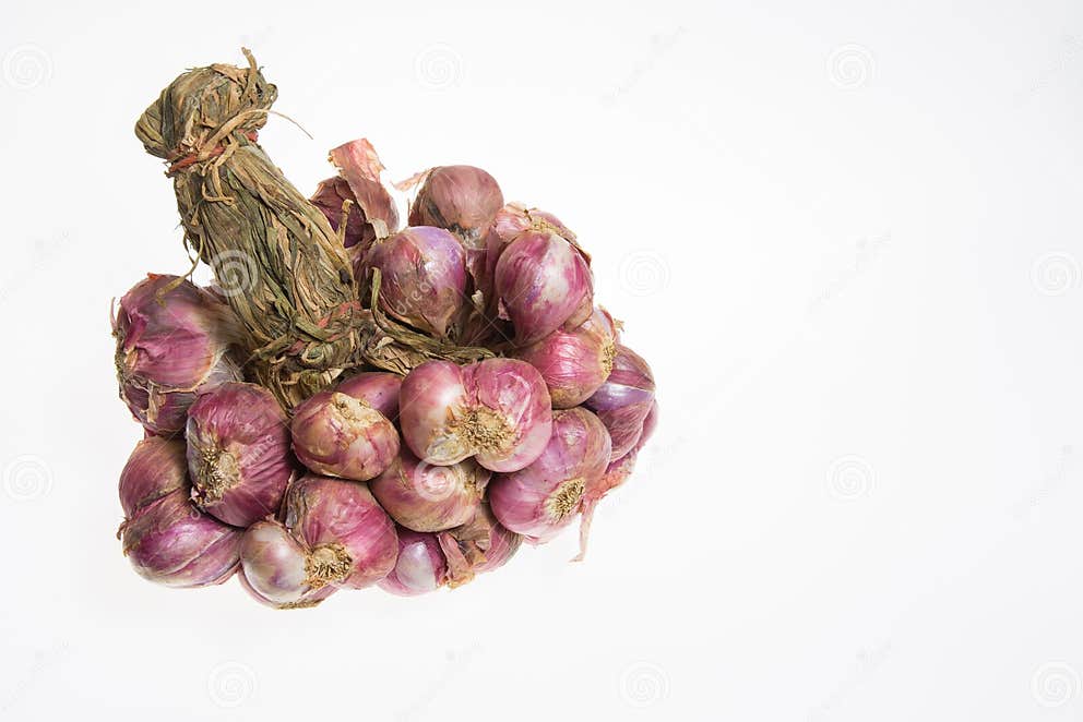 Chalotes foto de archivo. Imagen de ingrediente, crudo - 54981292