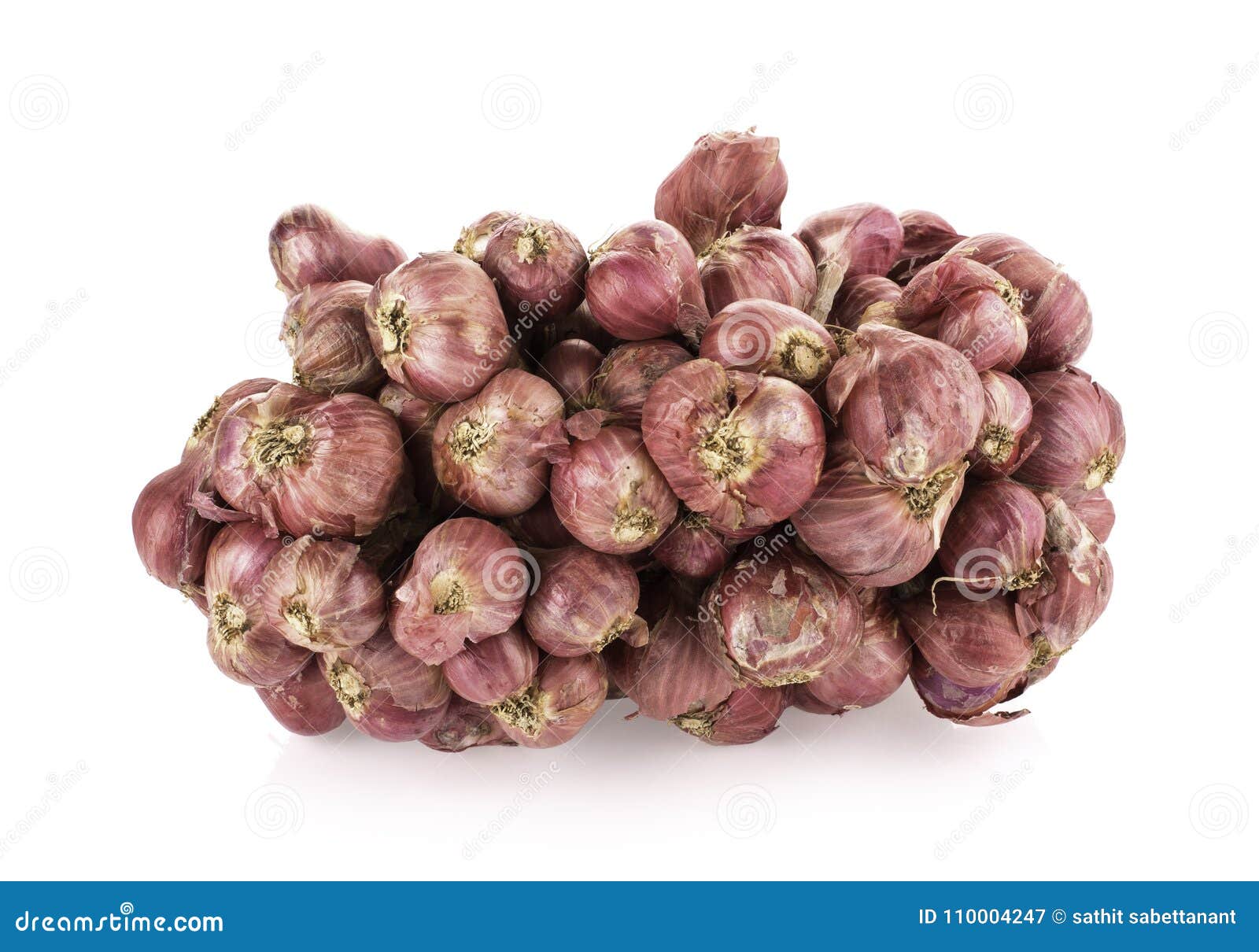 Chalotes En El Fondo Blanco Imagen de archivo - Imagen de chalotes ...