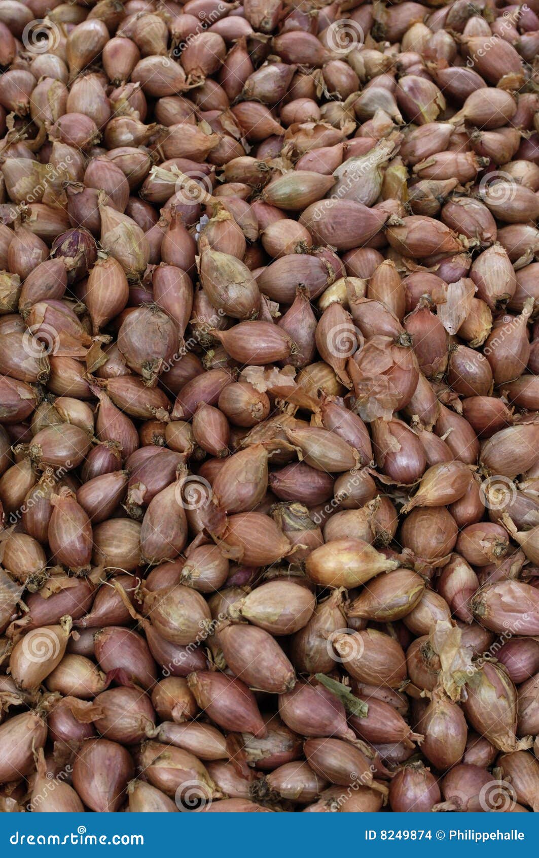 Chalotes en el mercado foto de archivo. Imagen de goma - 8249874