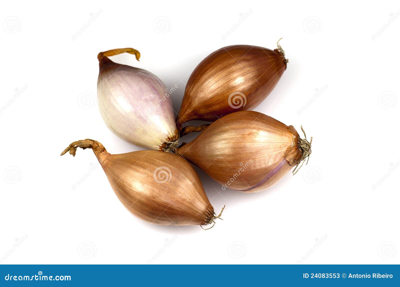 Chalotes franceses imagen de archivo. Imagen de chalotes - 24083553