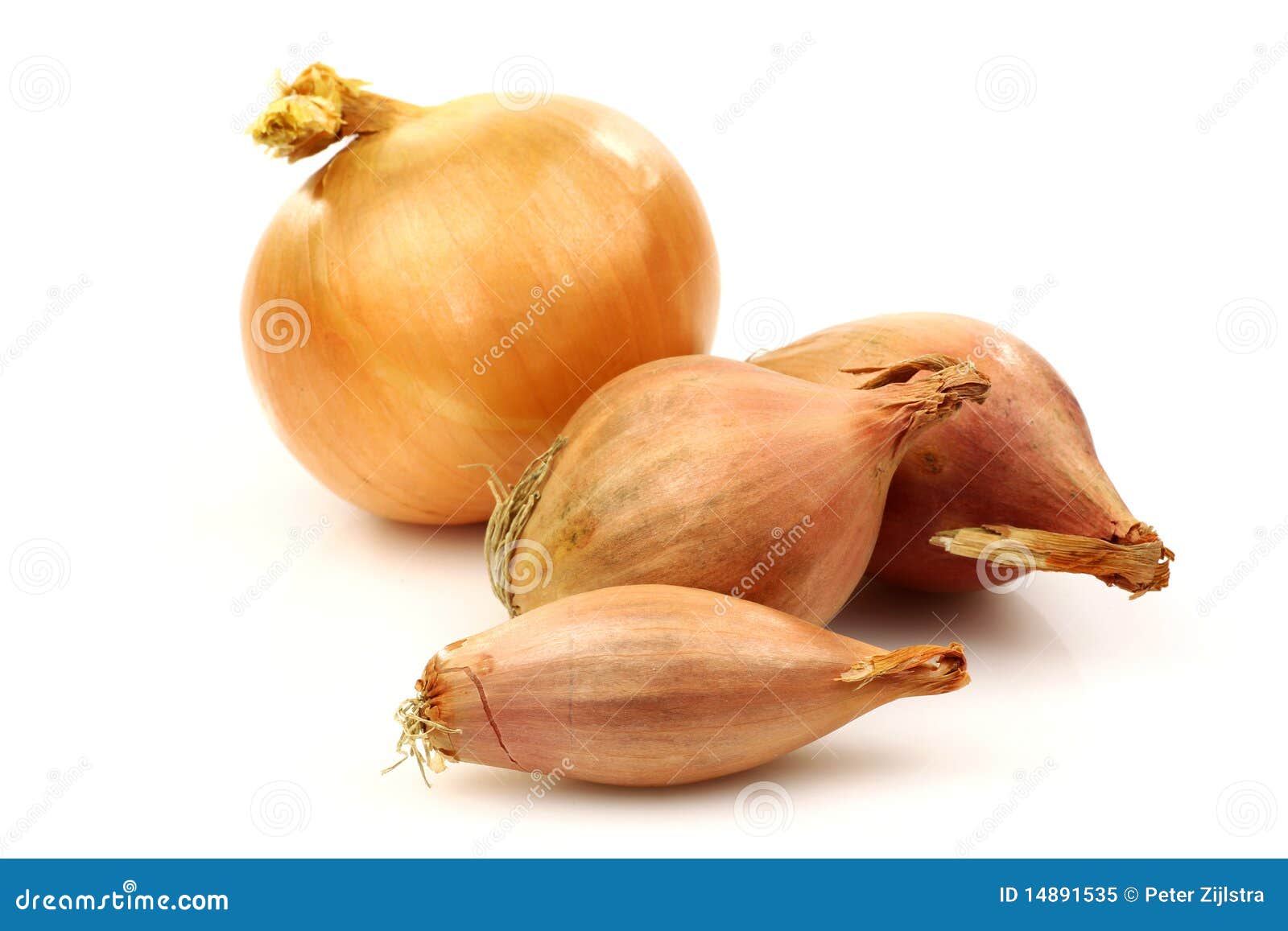 Chalotes Frescos Y Una Cebolla Imagen de archivo - Imagen de ...