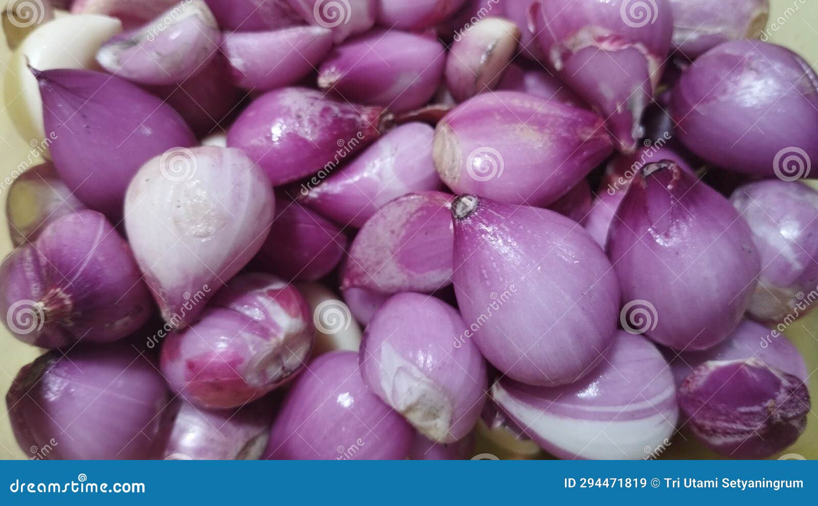 Chalotes Pelados En Un Contenedor Imagen de archivo - Imagen de ...