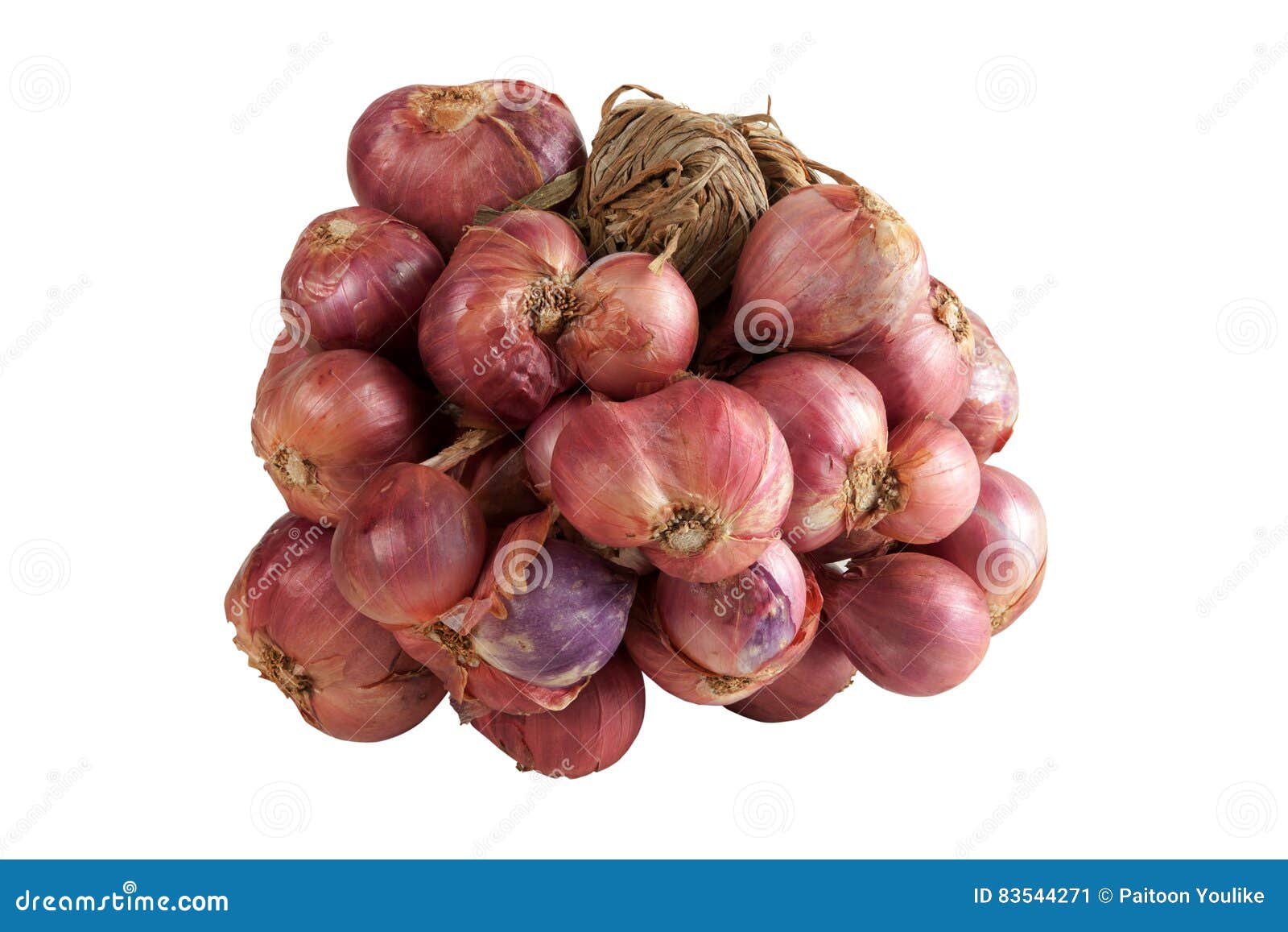 Chalotes Que Crecen Aislados Imagen de archivo - Imagen de cocinero ...