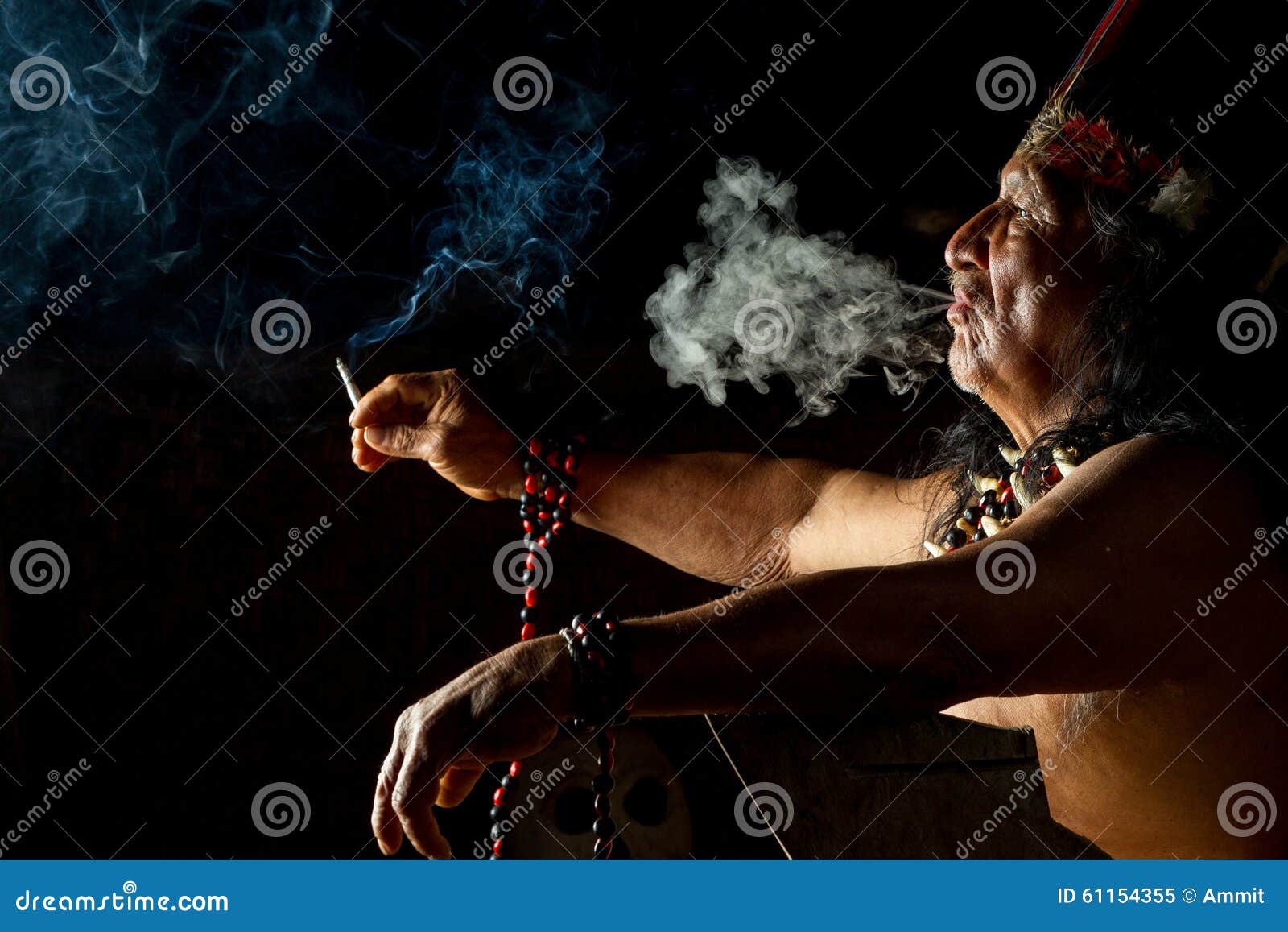 Chamán amazónico Portrait imagen de archivo. Imagen de ritual - 61154355