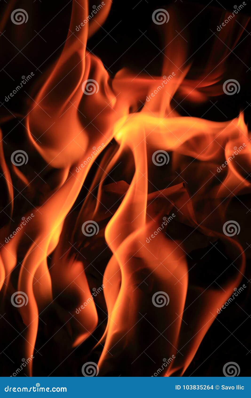 123,295 Chama Fotos - Fotos de Stock Gratuitas e Fotos Royalty-Free ...