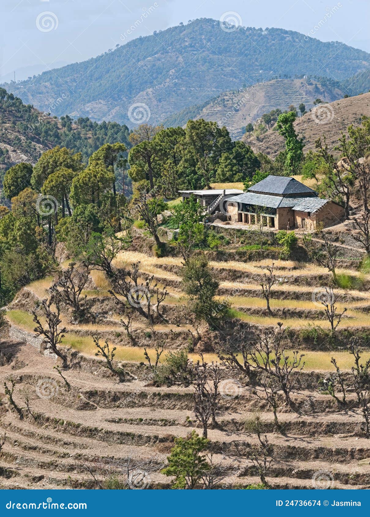 Chamba District Himachal Pradesh India Stock Photo - Image of nature ...