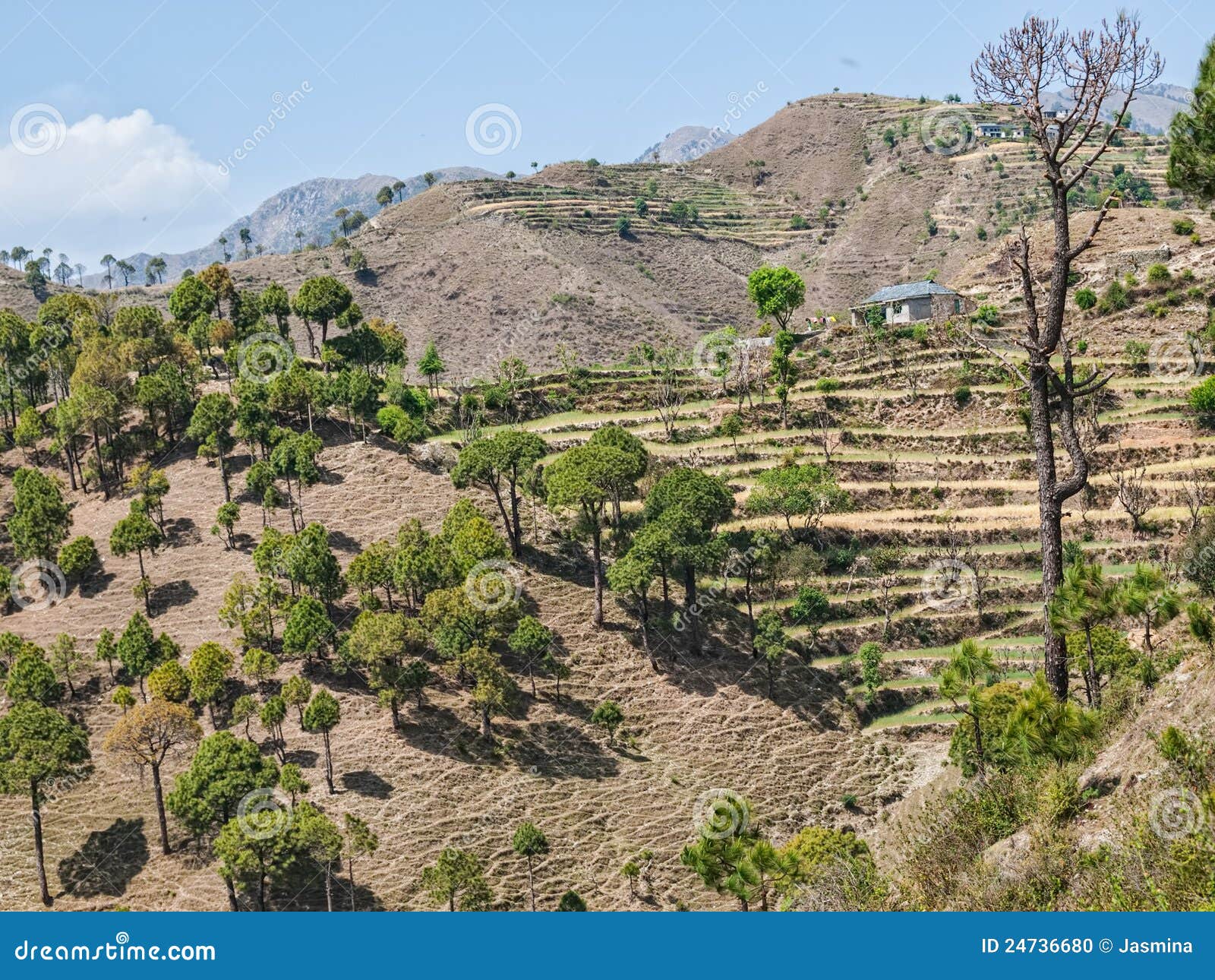 Chamba District Himachal Pradesh India Stock Photo - Image of slope ...
