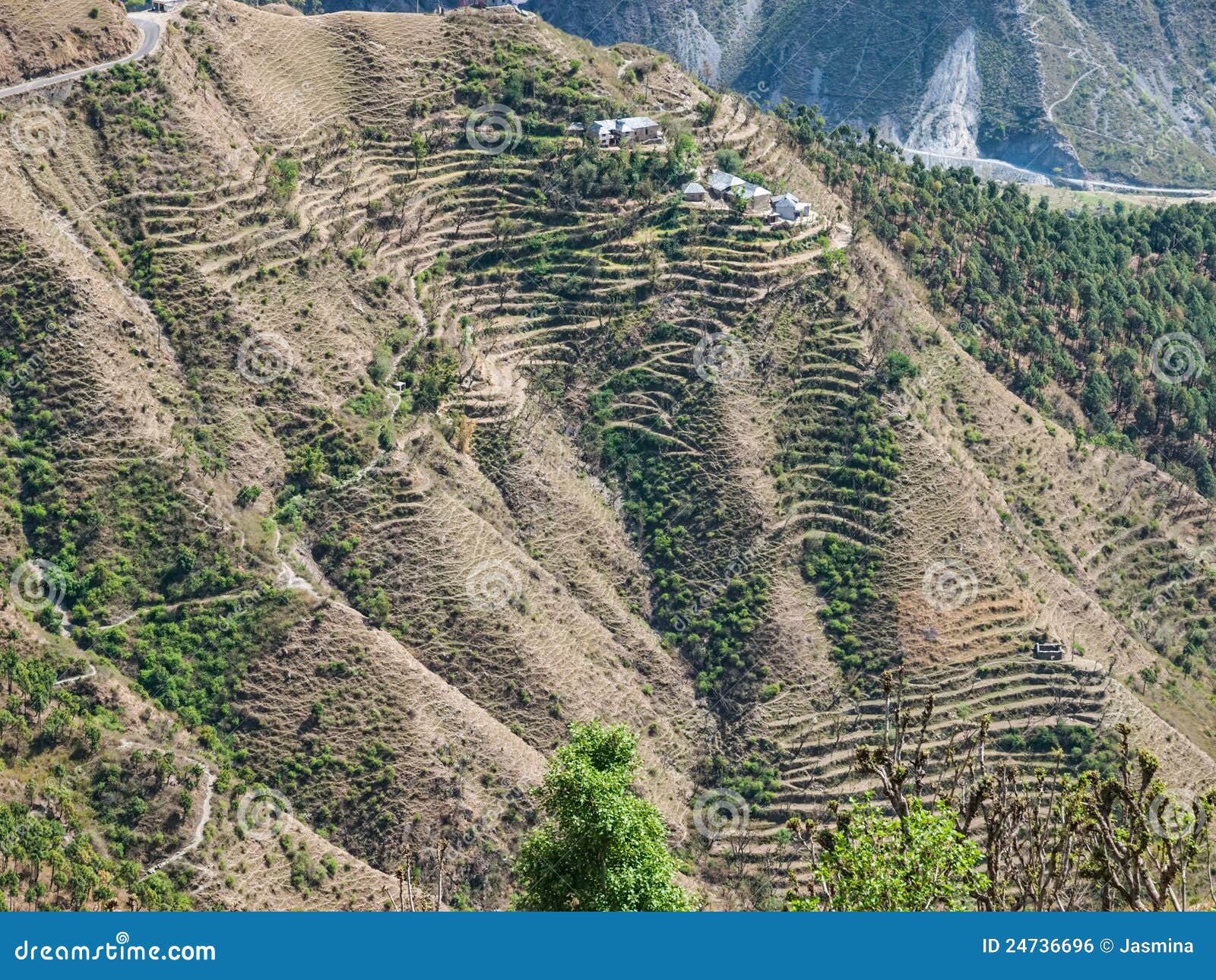 Chamba District Himachal Pradesh India Stock Photo - Image of village ...