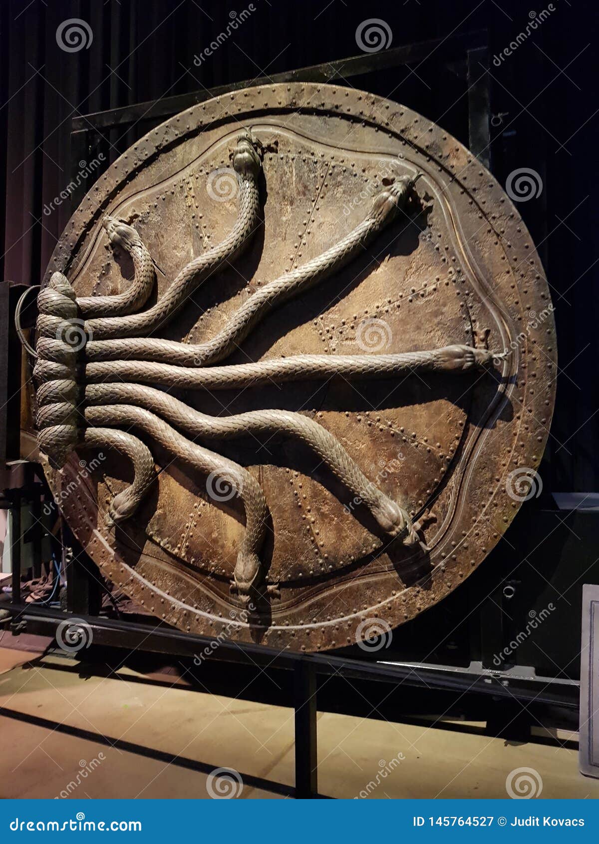 Harry potter chamber of secrets snake - ltseoseoxp