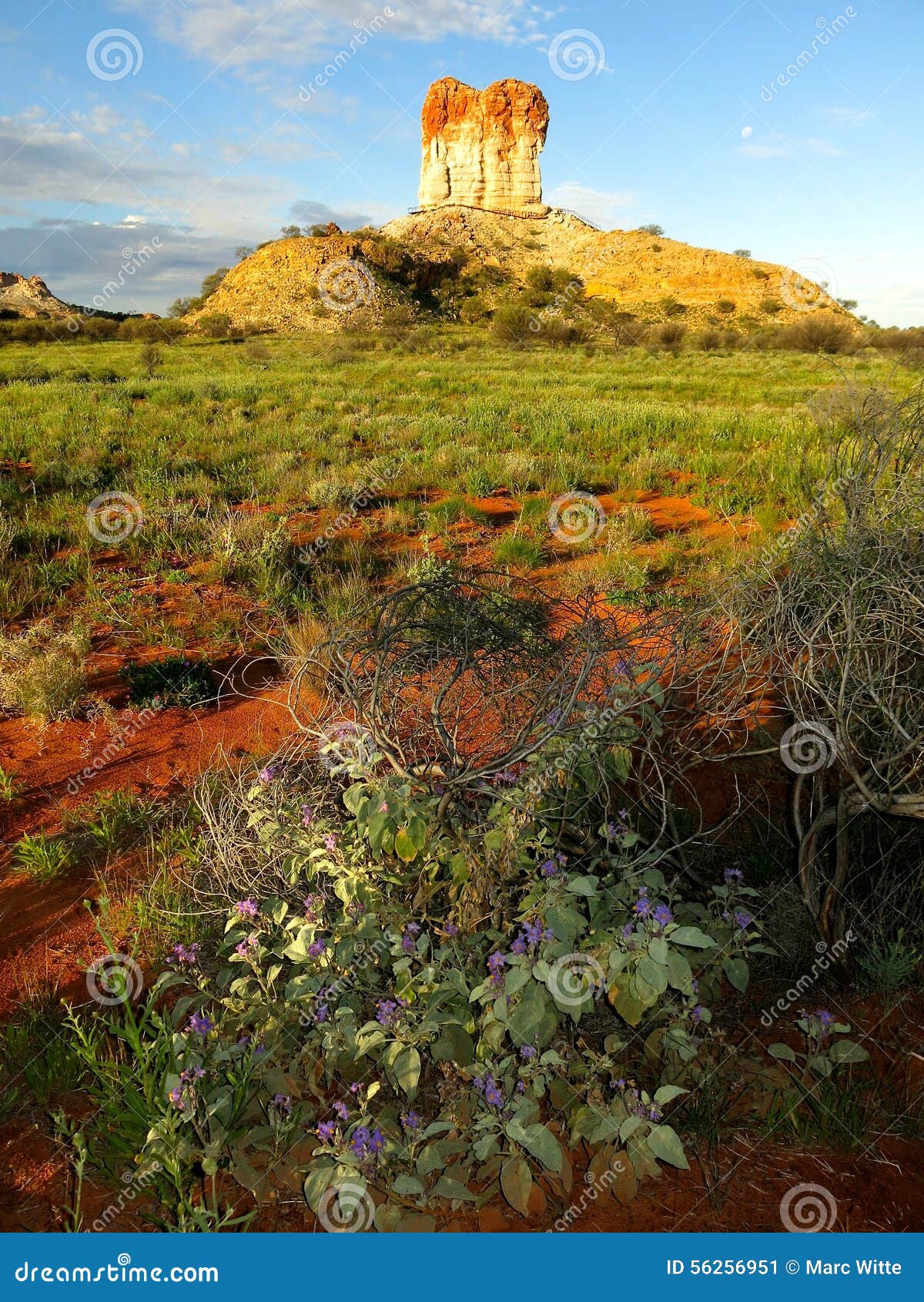Chambers Pillar, Northern Territory, Australia Stock Image - Image of ...