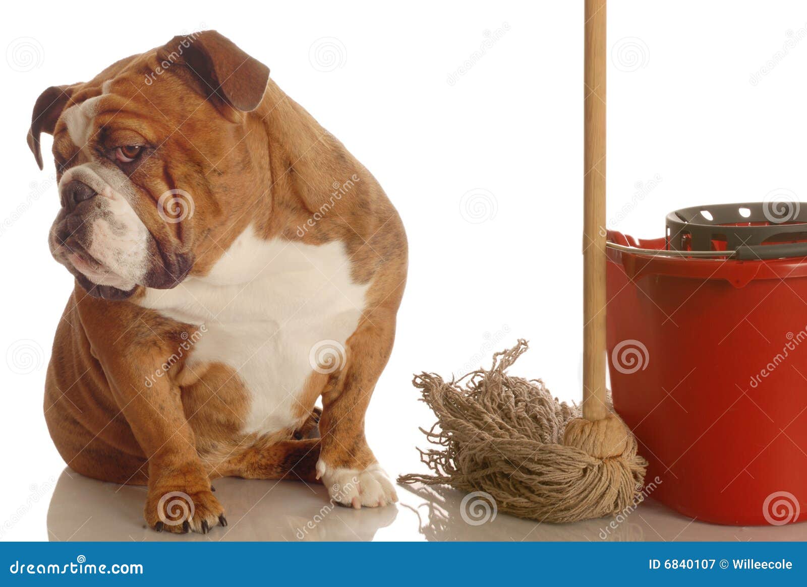 Chambre cassant un crabot image stock. Image du visage - 6840107