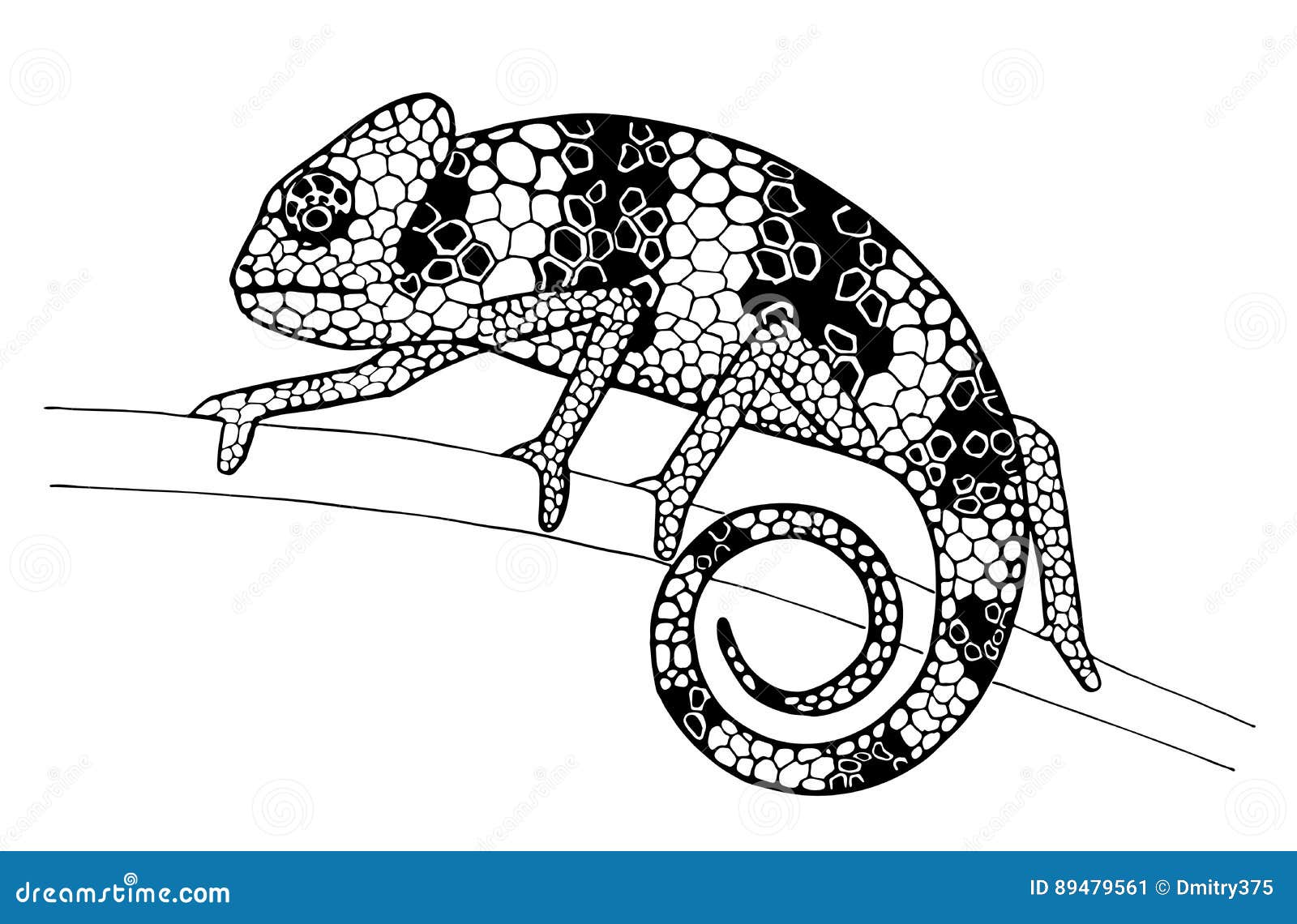 Chameleon on a Branch, Ink Drawing Stock Vector - Illustration of ...