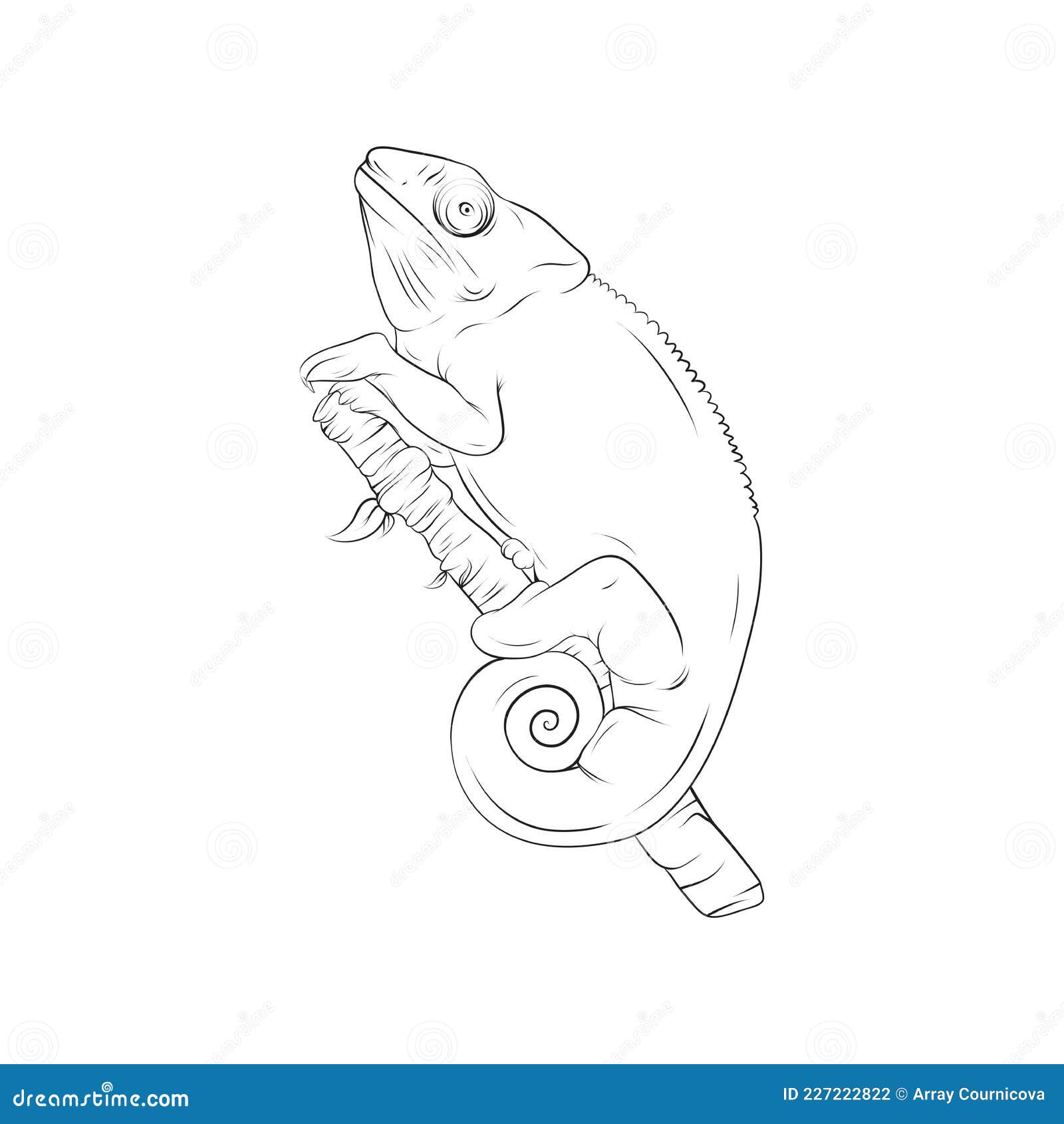 Chameleon Outline Pattern Chameleon Outline Etsy