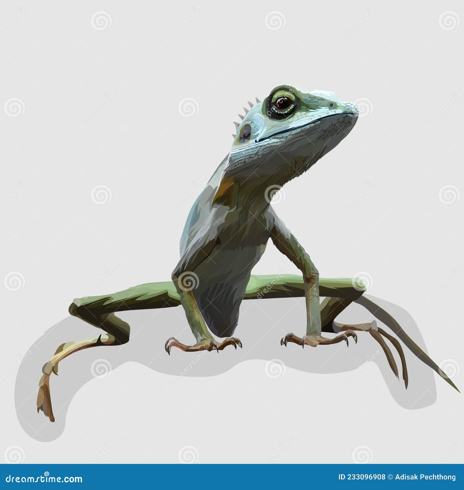 Chameleon Realistic Hand Drawn Vector and Illustrations White ...
