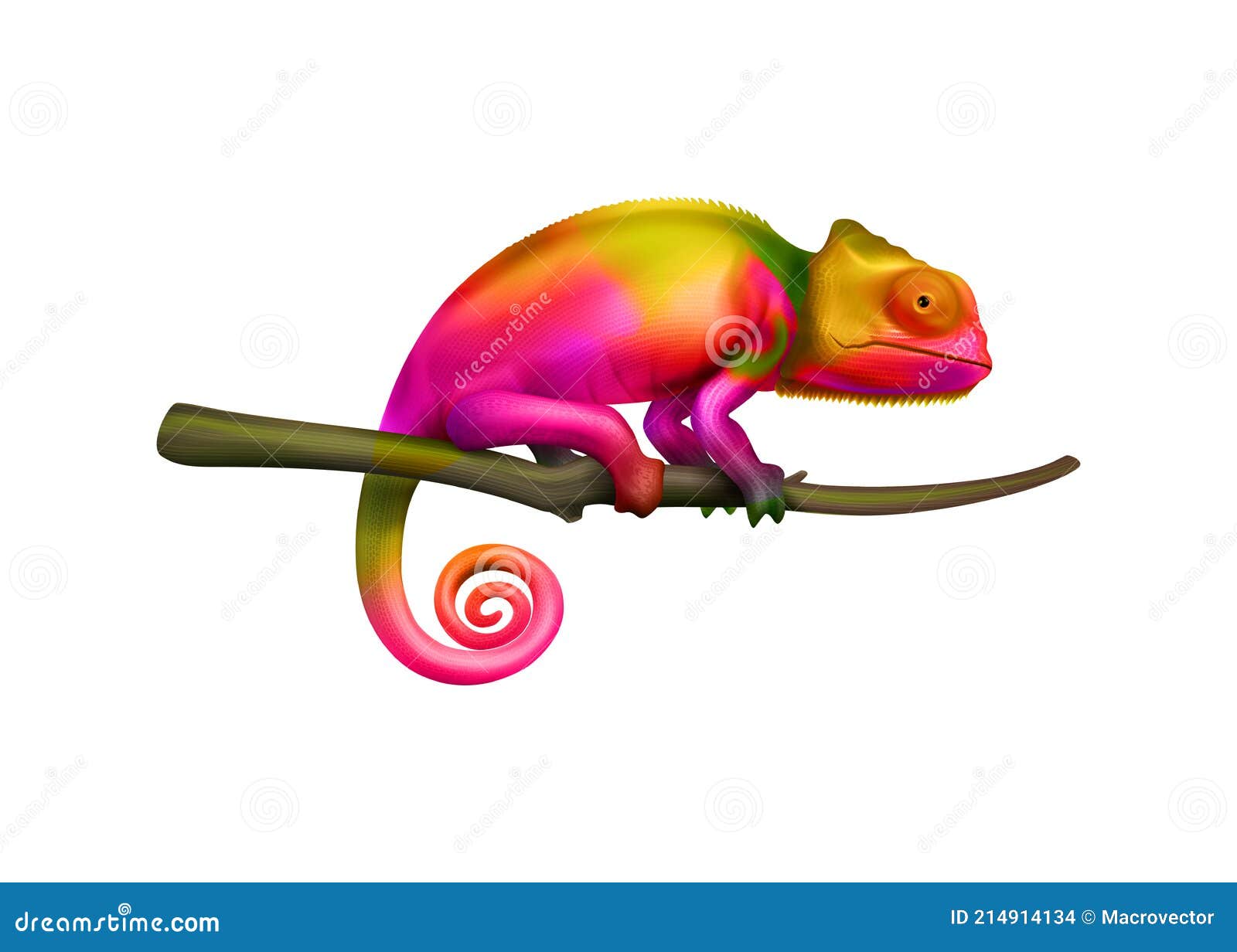 Chameleon Realistic Illustration Stock Vector - Illustration of tropic ...