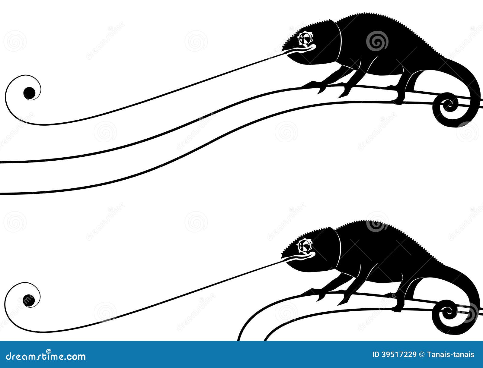 Chameleons stock vector. Illustration of border, white - 39517229