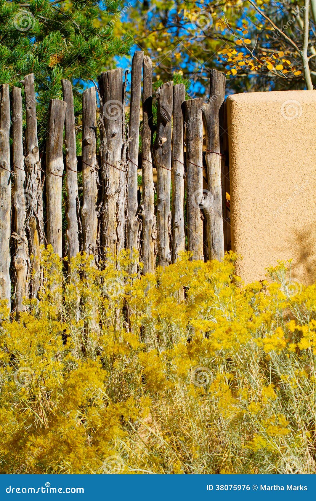 Chamisa Adobe Coyote Fence stock photo. Image of southwest - 38075976