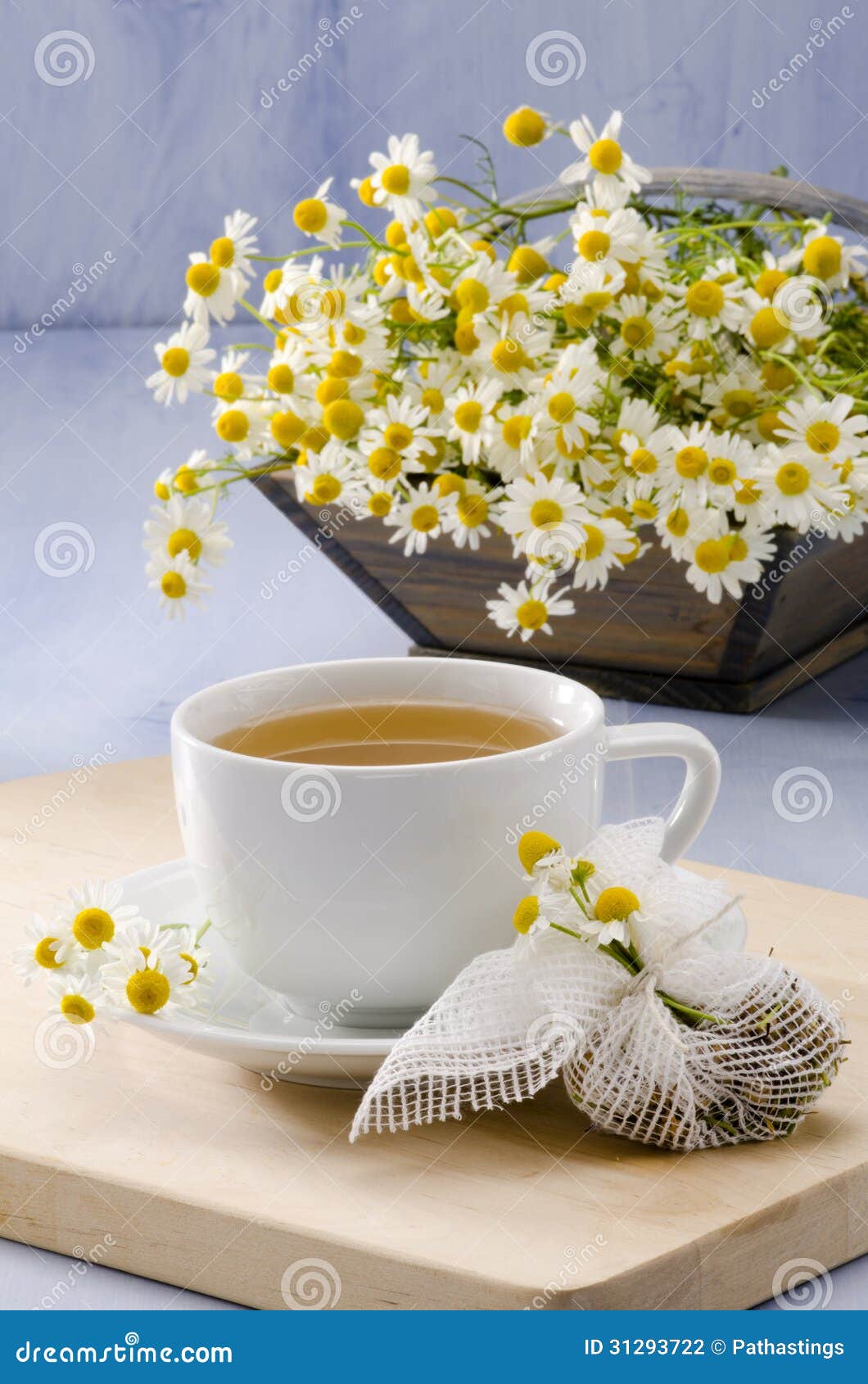 Chamomile Herbal Tea stock photo. Image of care, health - 31293722