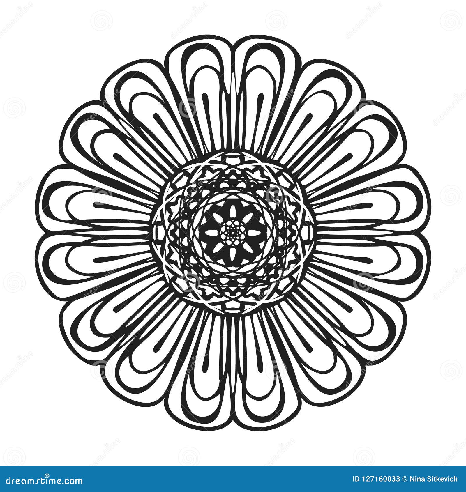 Chamomile Icon, Simple Style Stock Vector - Illustration of herbal ...