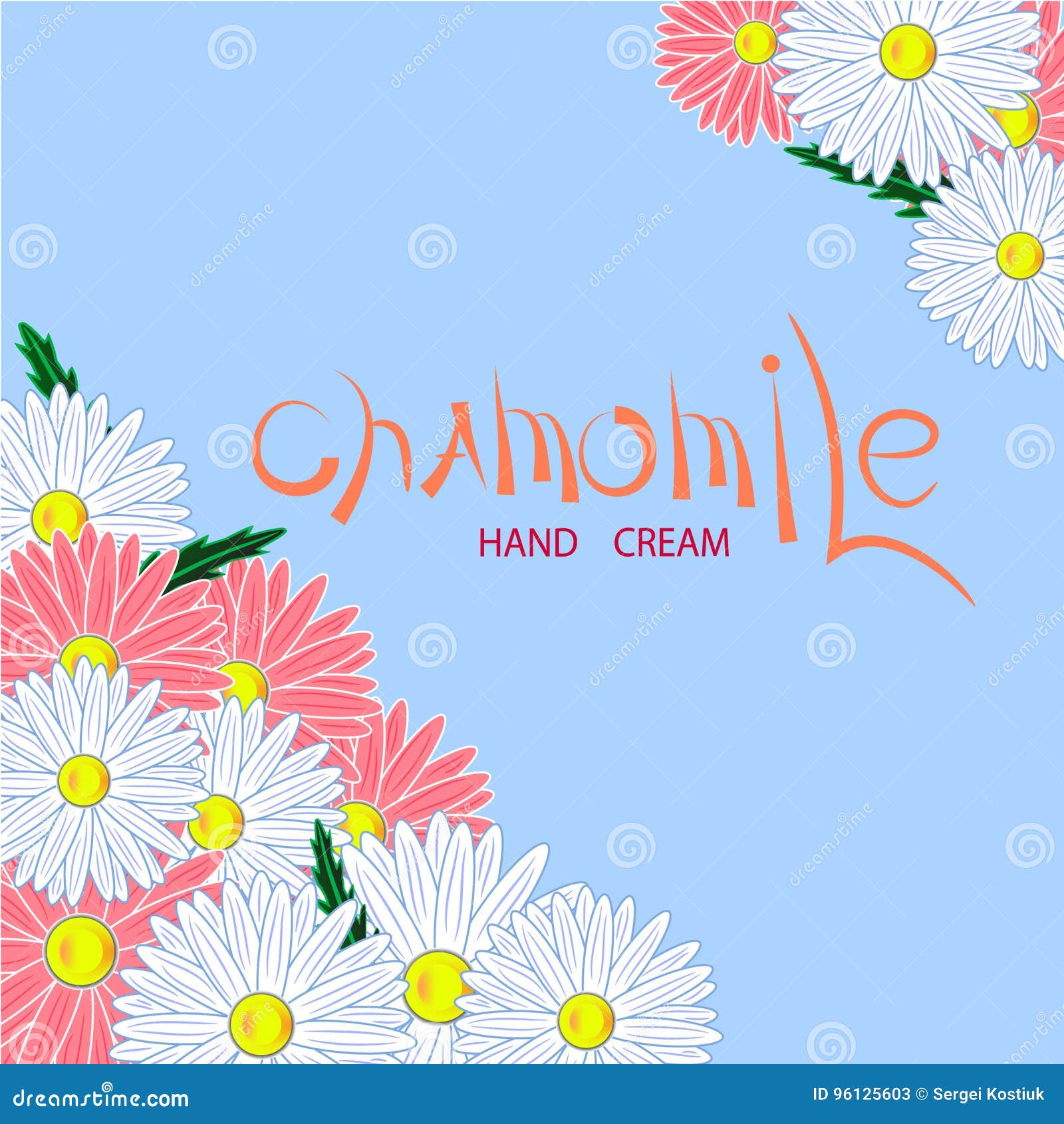 Chamomile illustration stock vector. Illustration of good - 96125603