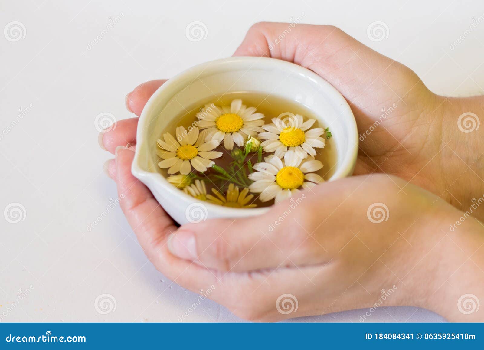 Chamomile Infusion in the Hands. Stock Image - Image of green, product ...