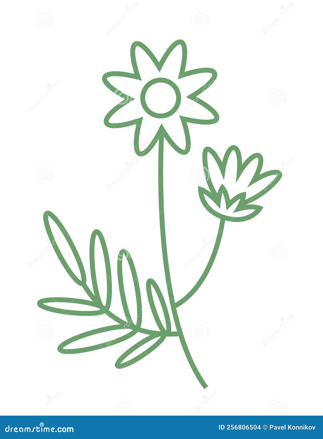 Chamomile Sprig in Outline Style. Stock Vector - Illustration of vector ...