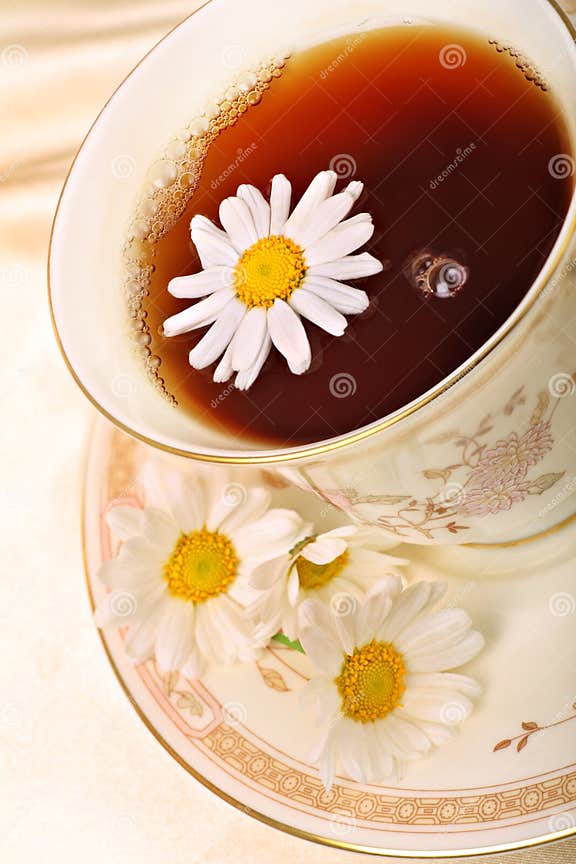Chamomile tea stock image. Image of infusion, alternative - 10096245