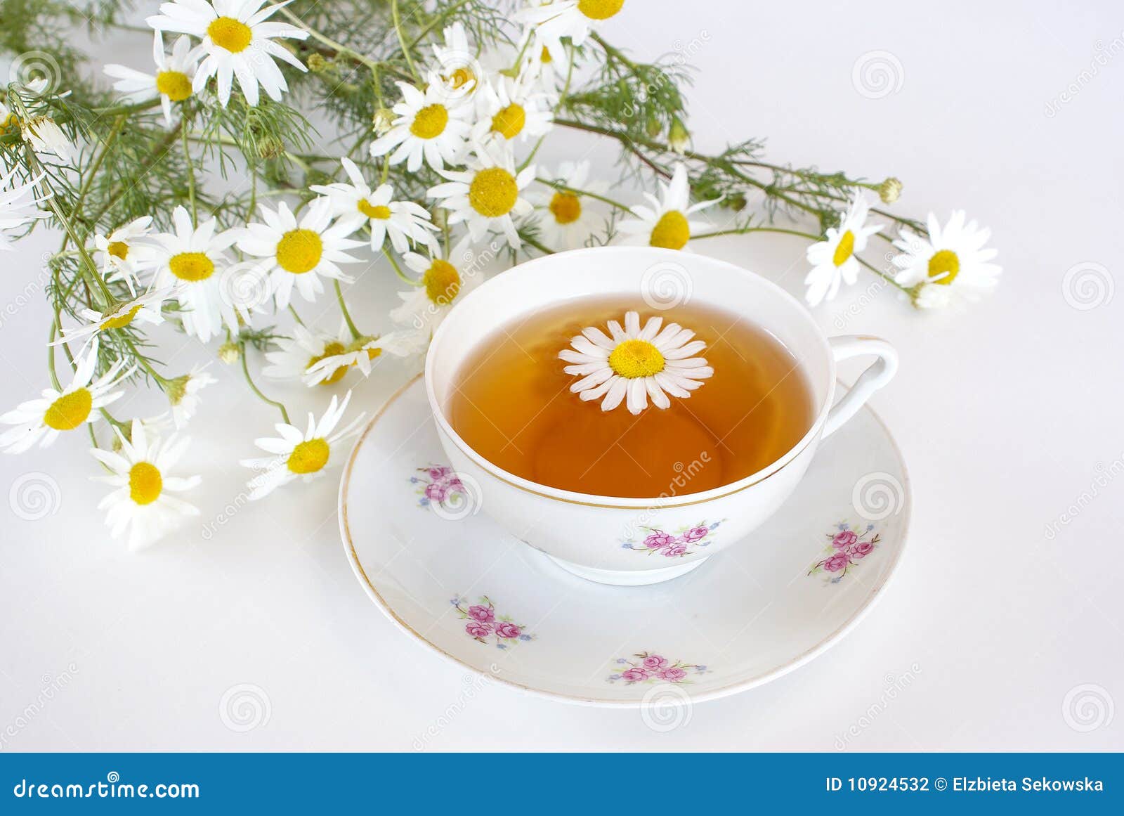 Chamomile tea stock photo. Image of infusion, herbal - 10924532
