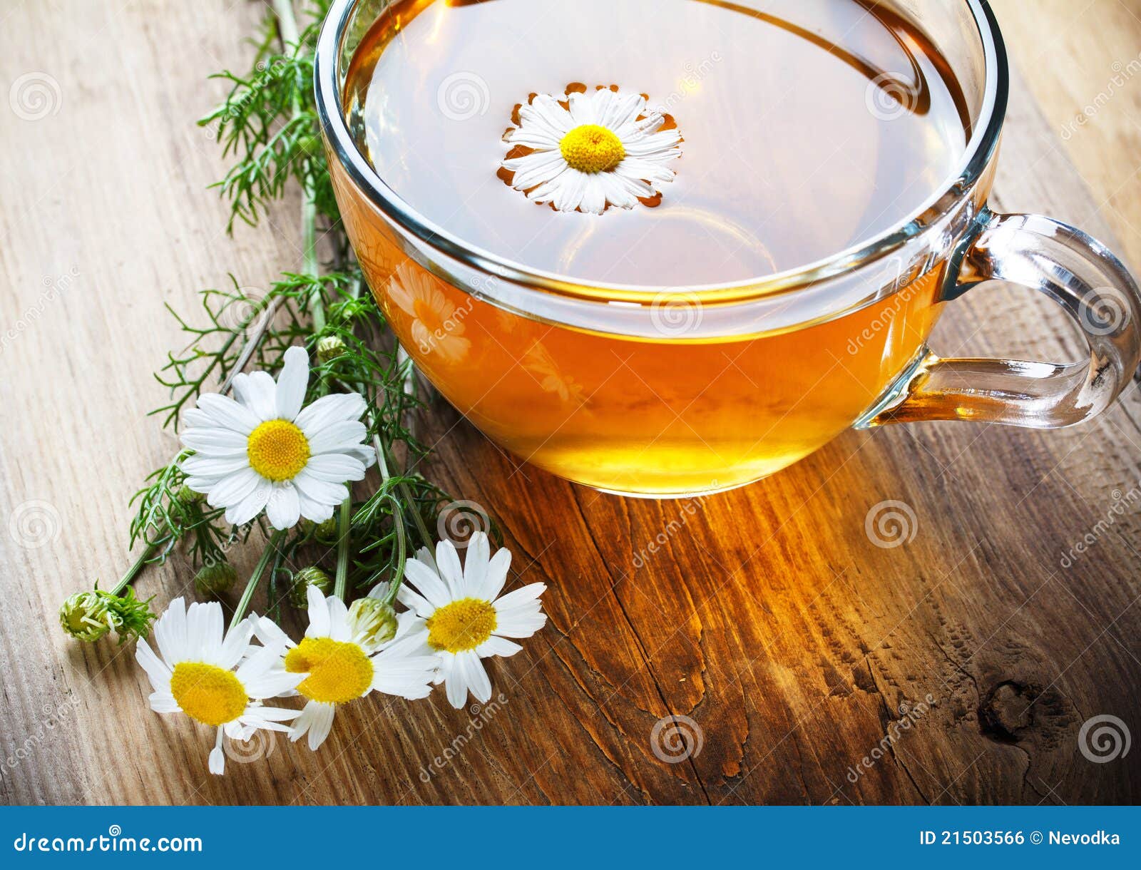 Chamomile tea stock photo. Image of food, herb, health - 21503566