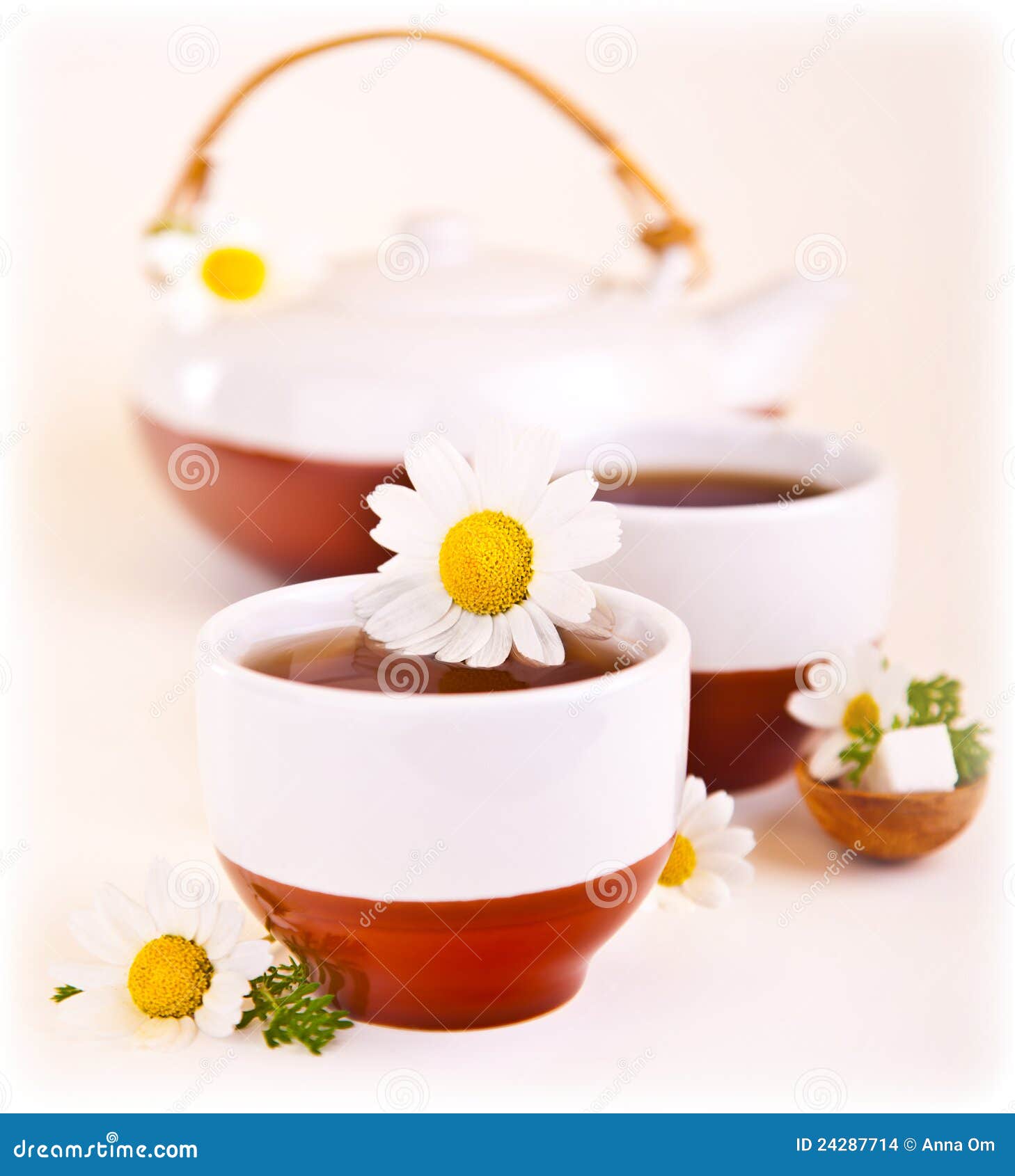 Chamomile tea stock photo. Image of daisy, medicine, chamomile - 24287714