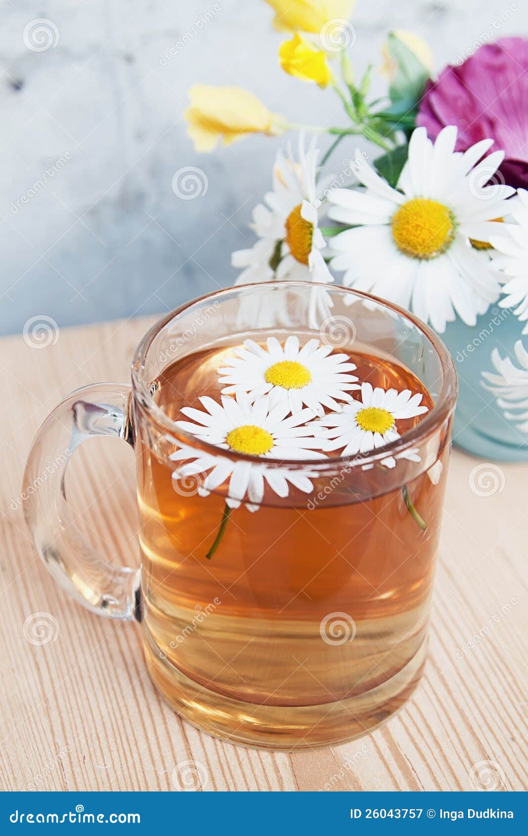 Chamomile tea stock image. Image of daisy, drink, glass - 26043757