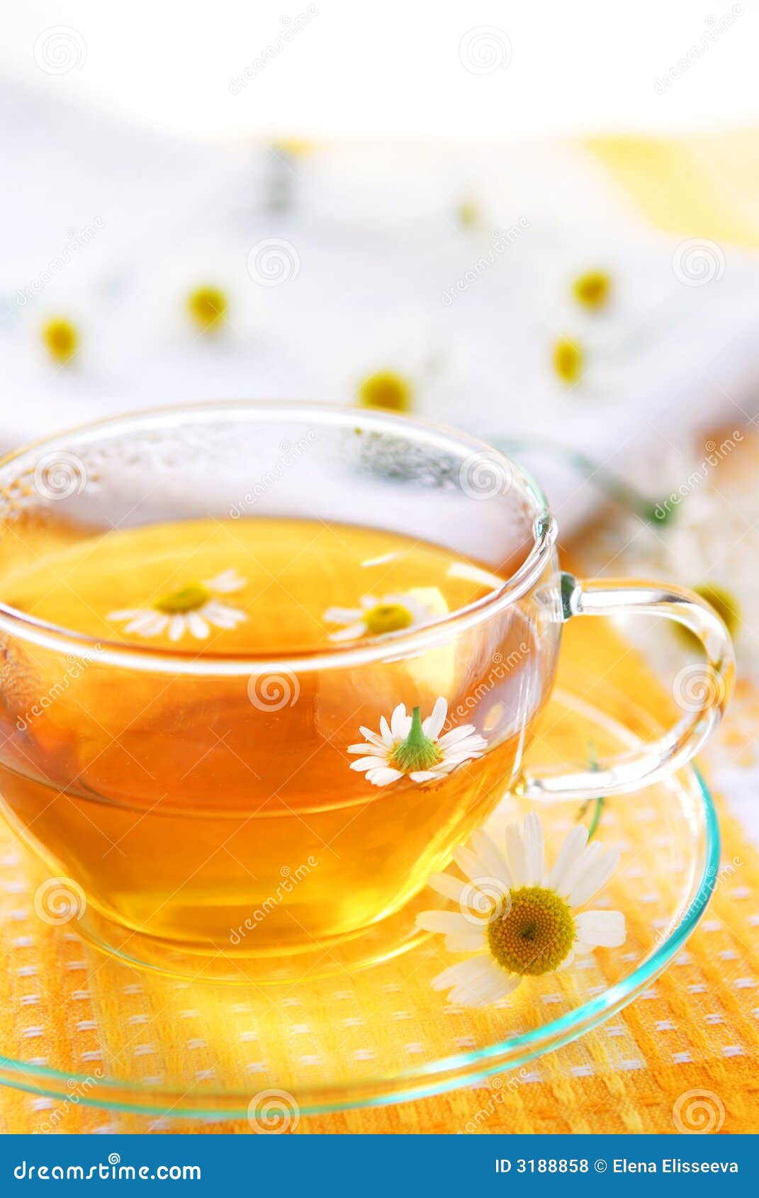 Chamomile tea stock photo. Image of healthy, organic, lifestyle - 3188858
