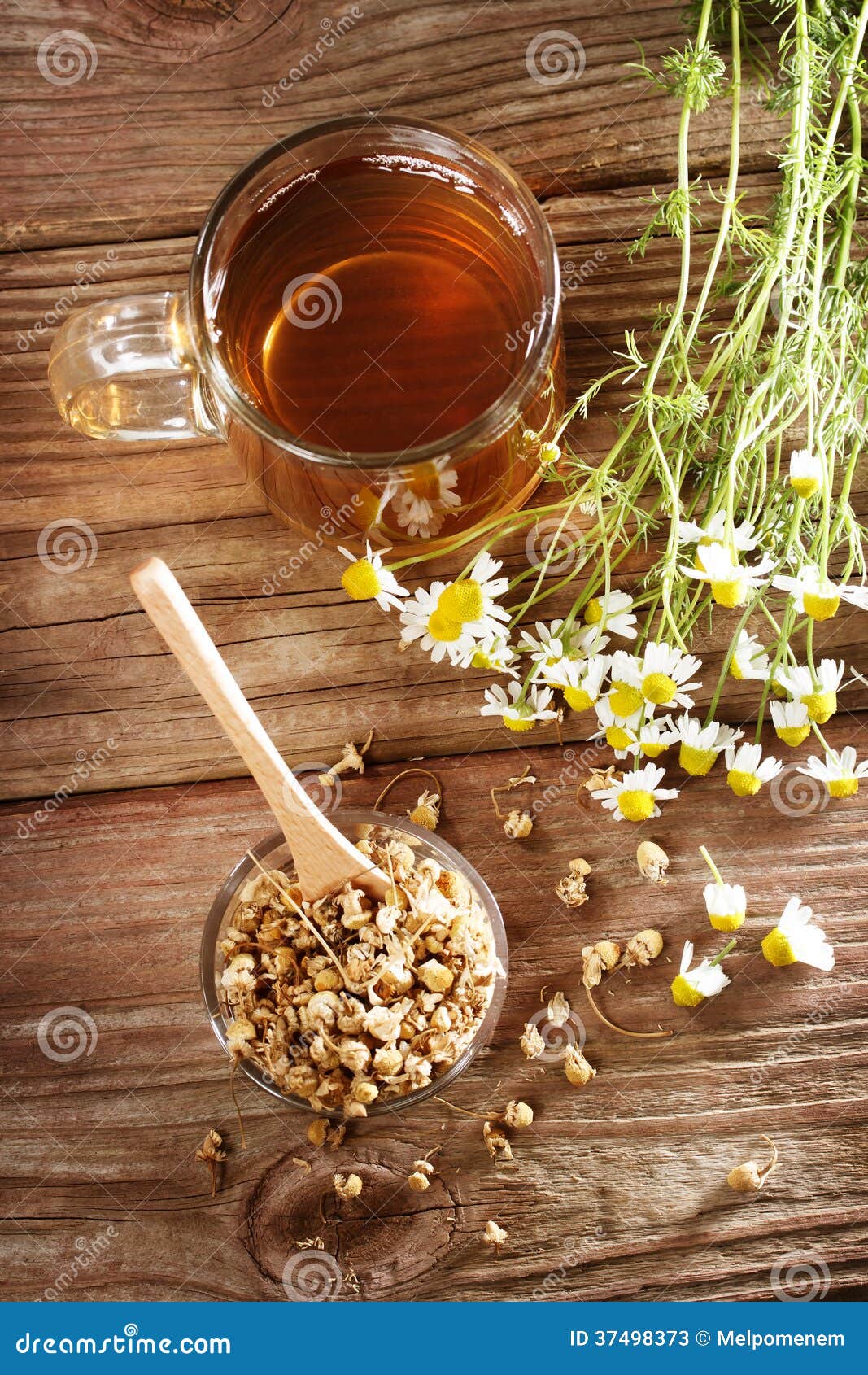 Chamomile tea stock image. Image of refreshment, plant - 37498373