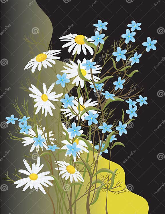 Chamomiles stock vector. Illustration of flowers, daisy - 4830219