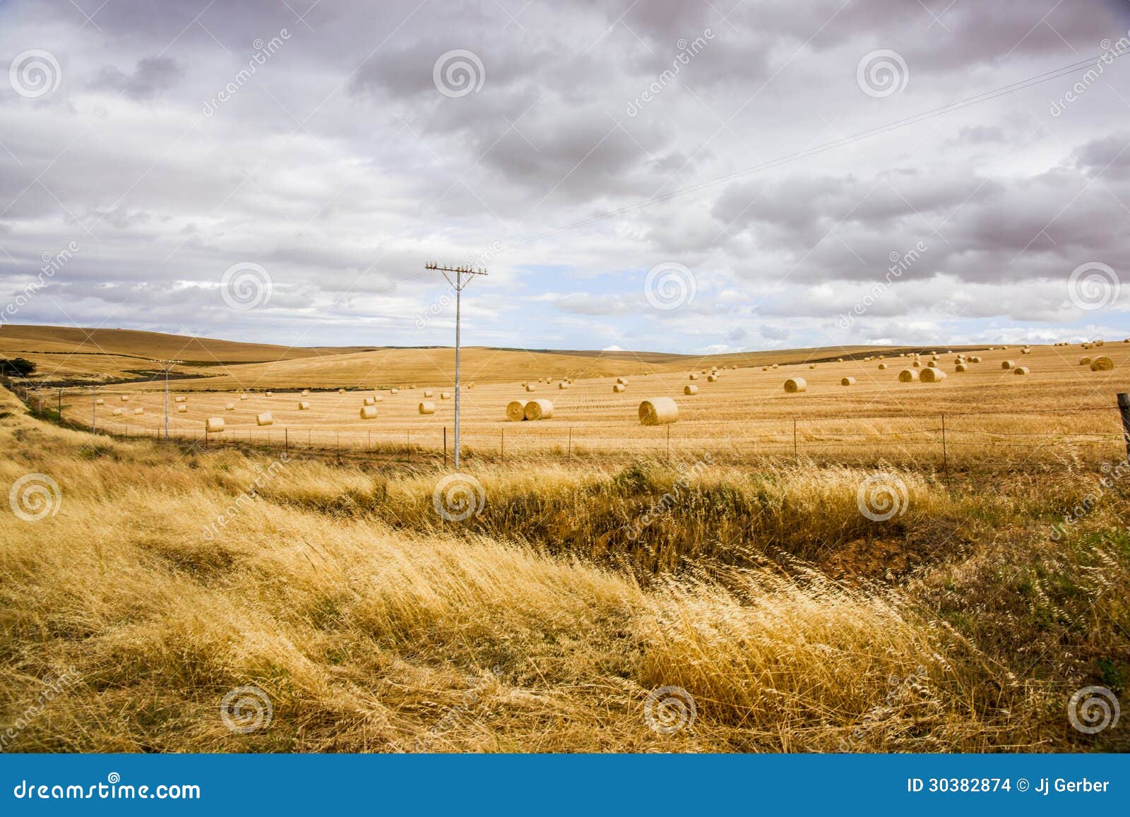 Champ agricole photo stock. Image du texture, horizontal - 30382874