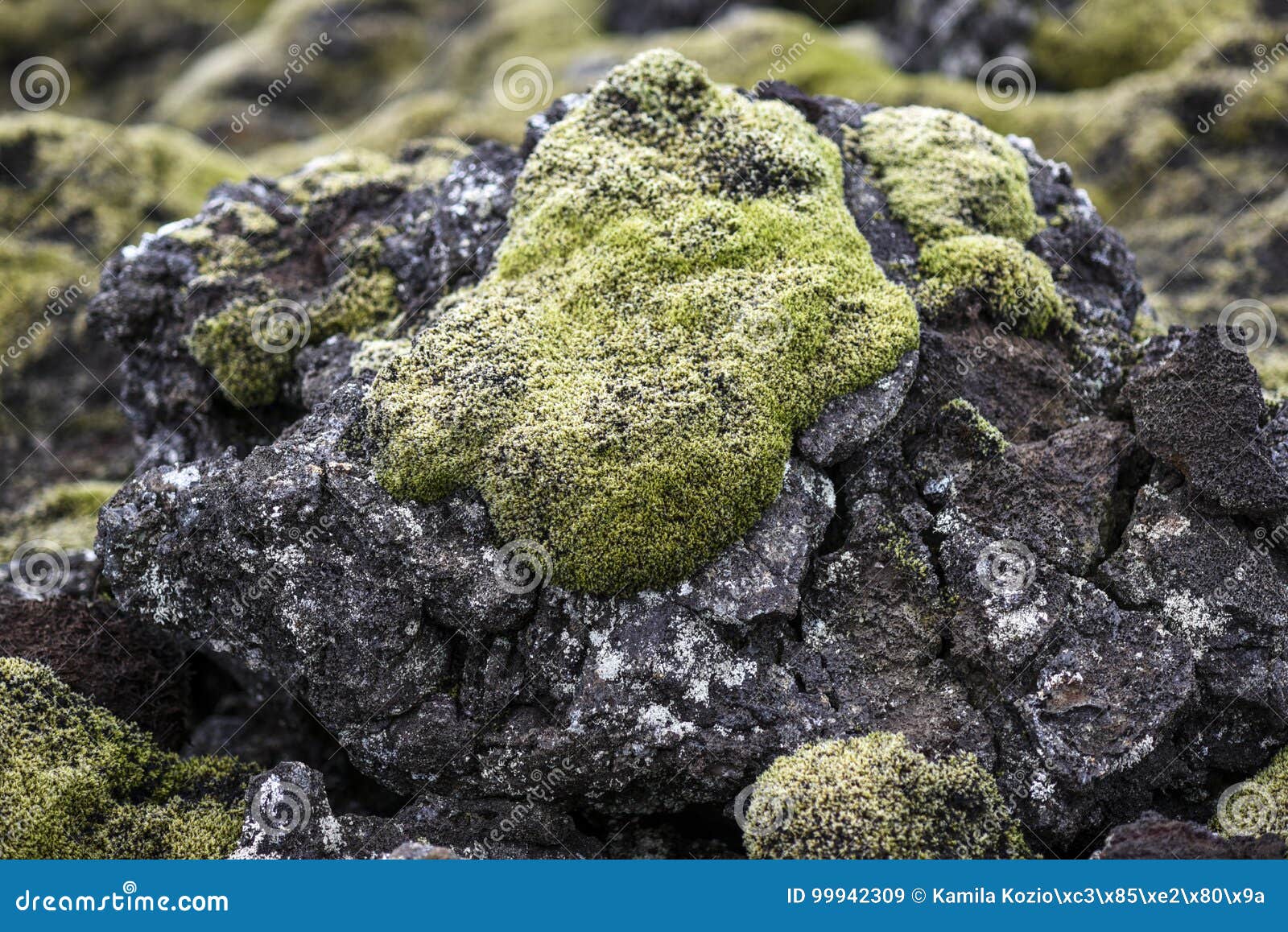 Champ De Lave Volcanique Volcanique, Islande Image stock - Image du ...