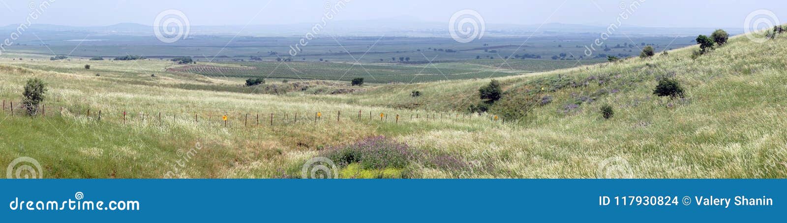 Champ de mine photo stock. Image du zone, mien, vert - 117930824