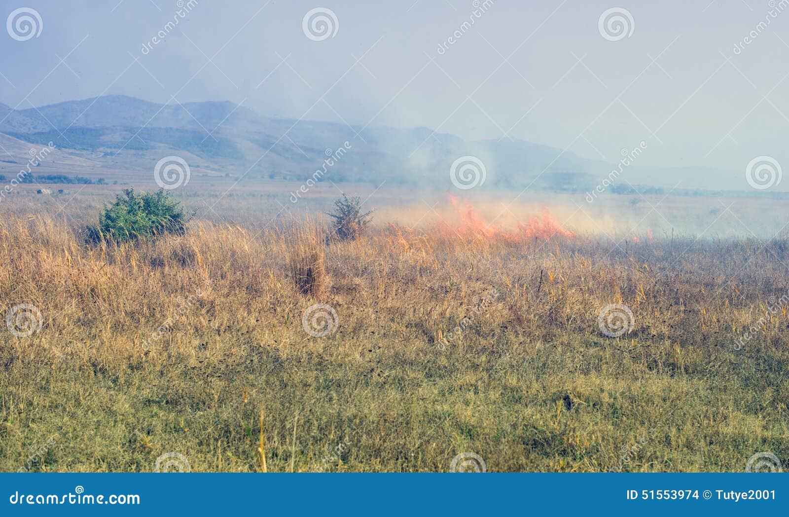 Champ En Feu Dans Un Paysage D'automne Nature Photo stock - Image du ...